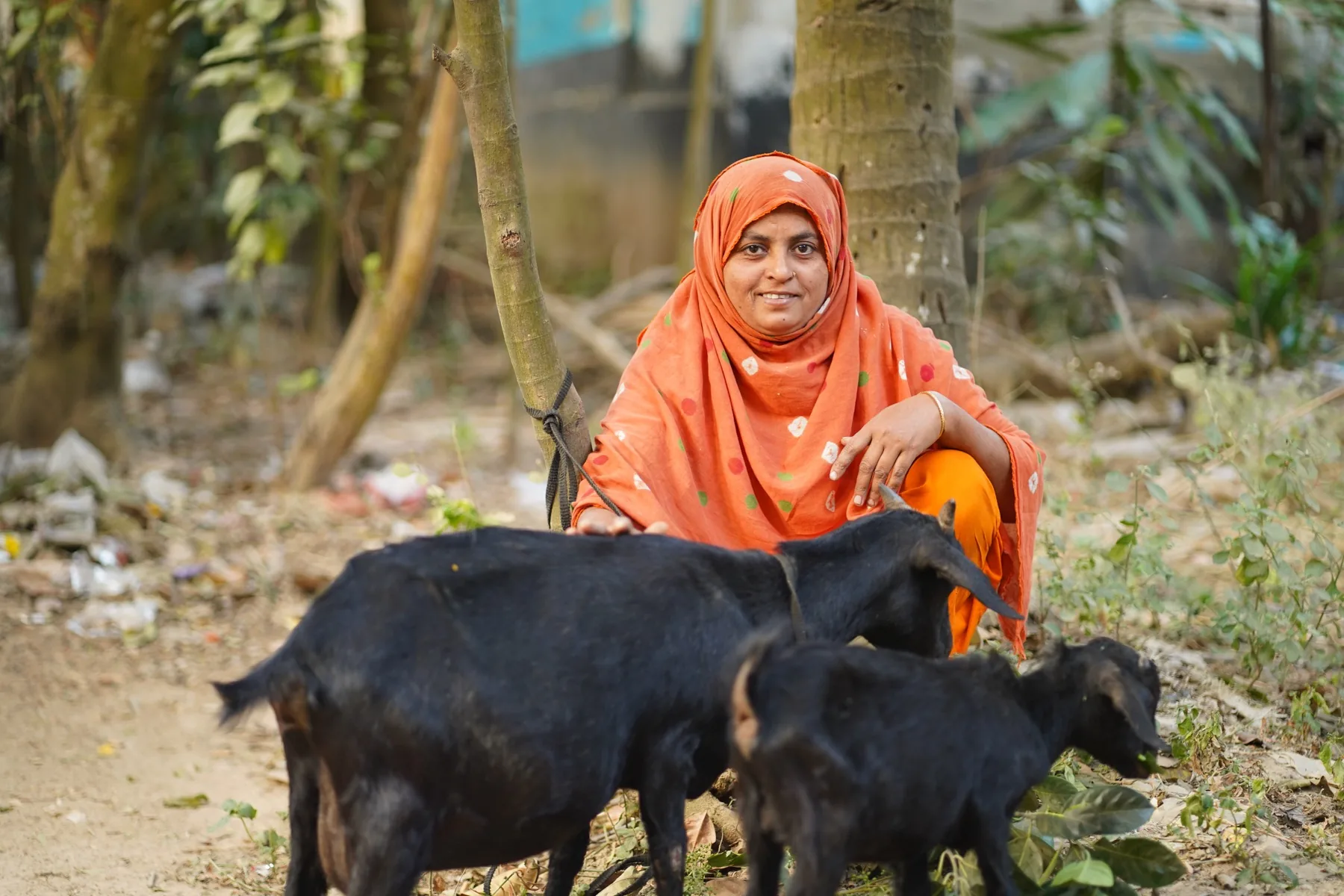 SAWAB Foundation | Donation, Zakat, and Social Impact in Bangladesh